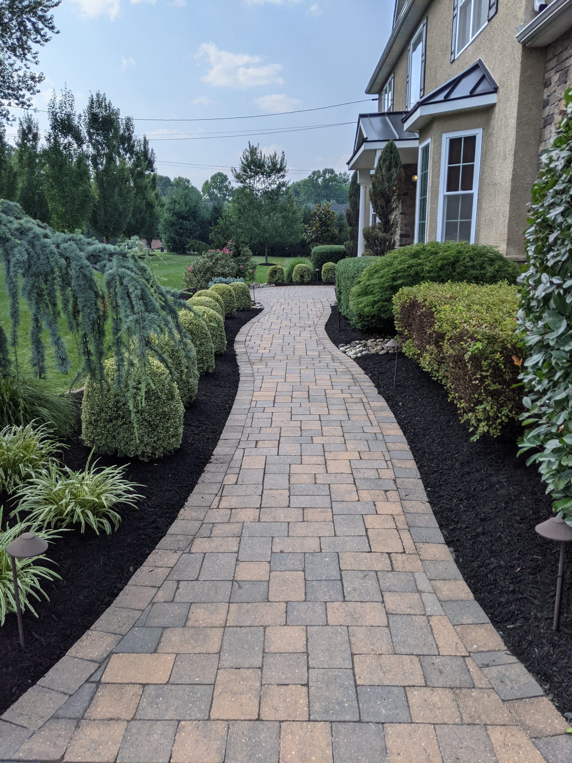 Tree & Shrub Care | Di Sandro Landscape Group